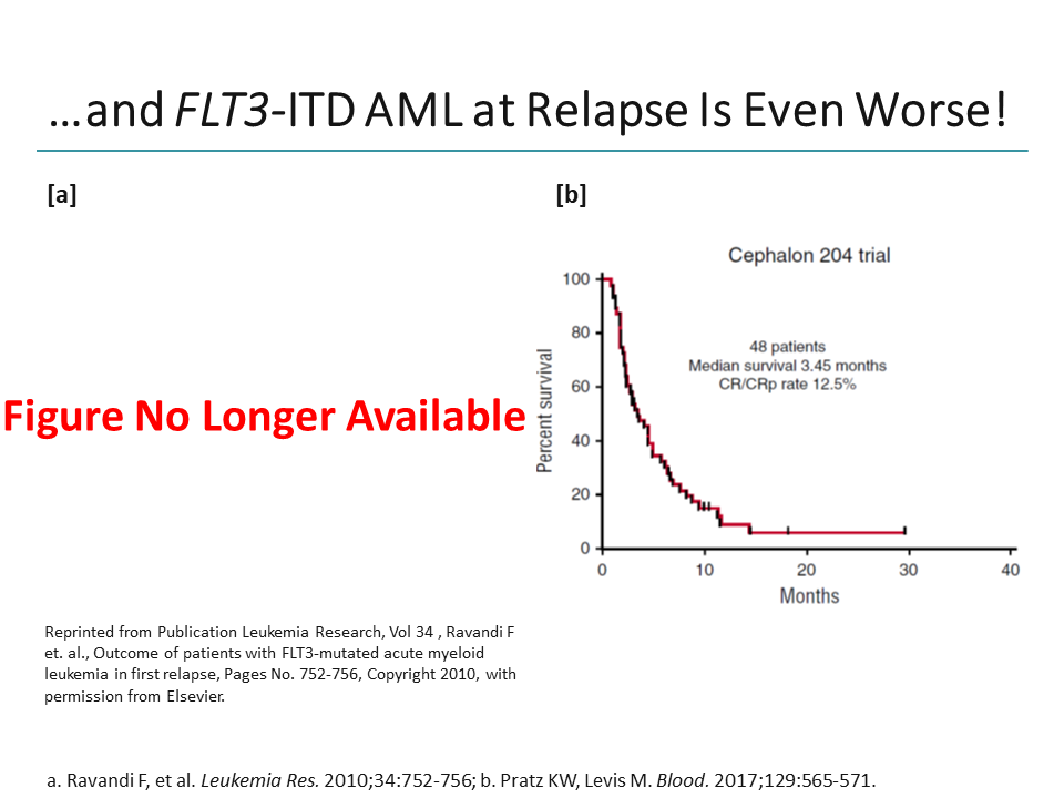 Relapsed/Refractory FLT3+ AML: Challenges and New Directions (Transcript)
