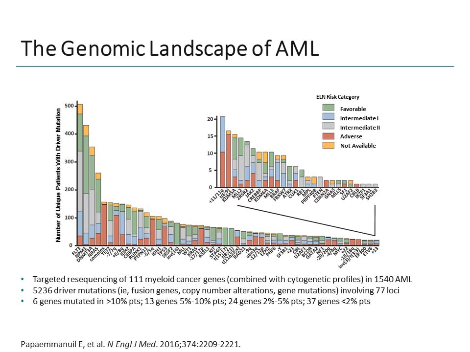 Relapsed/Refractory FLT3+ AML: Challenges and New Directions (Transcript)