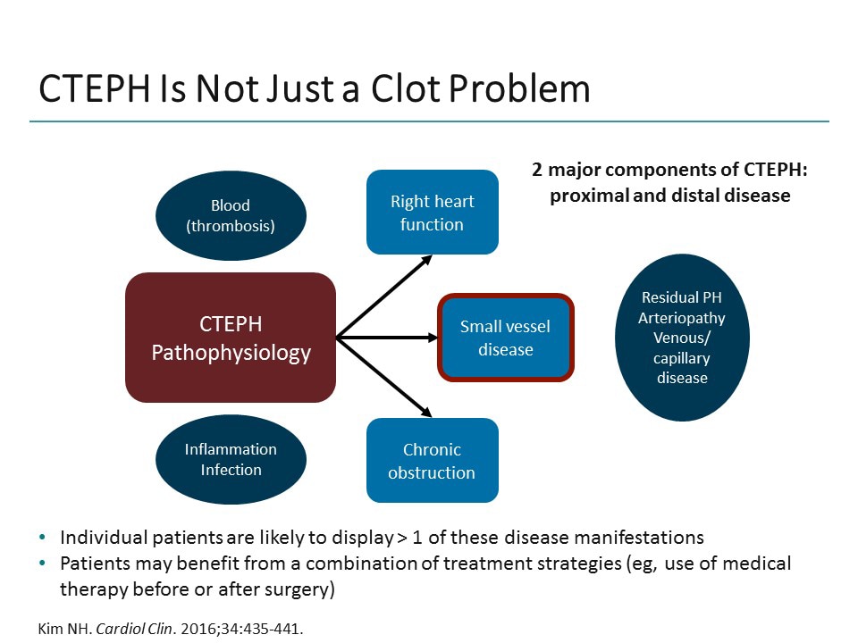 Clinical Comparisons in CTEPH: Assessing Trials, Updates and ...