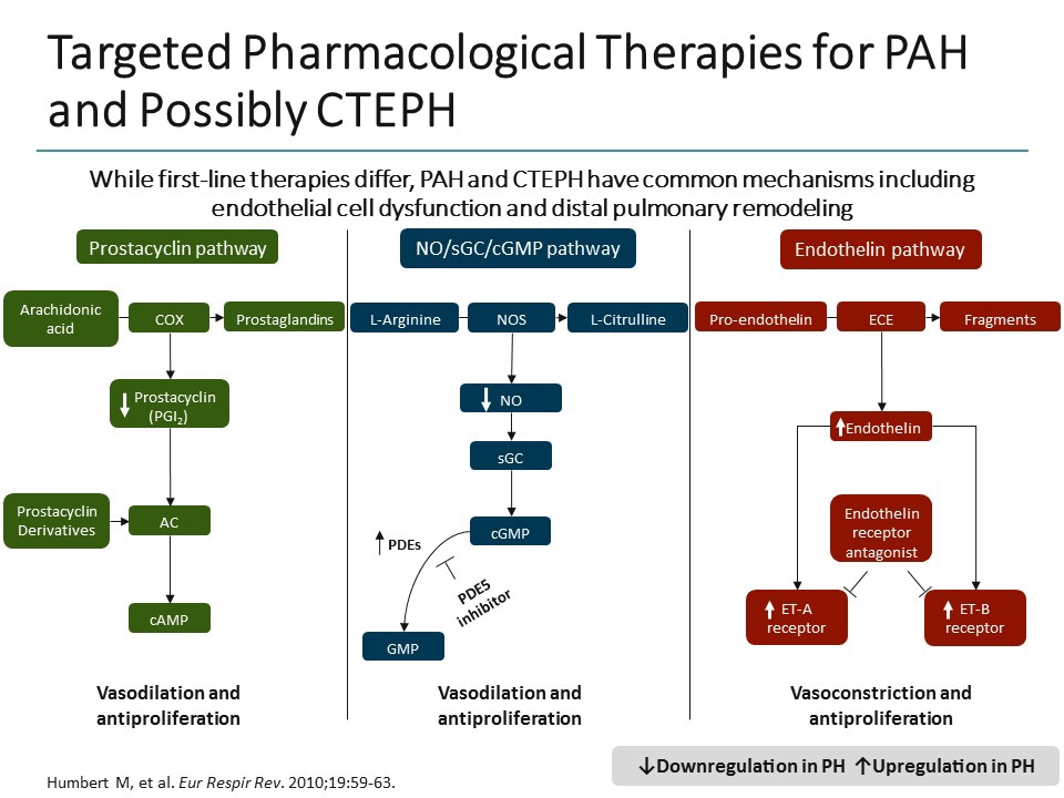 Clinical Comparisons in CTEPH: Assessing Trials, Updates and ...