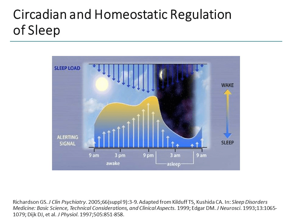Understanding the Nature of Sleep and How it Changes With Age