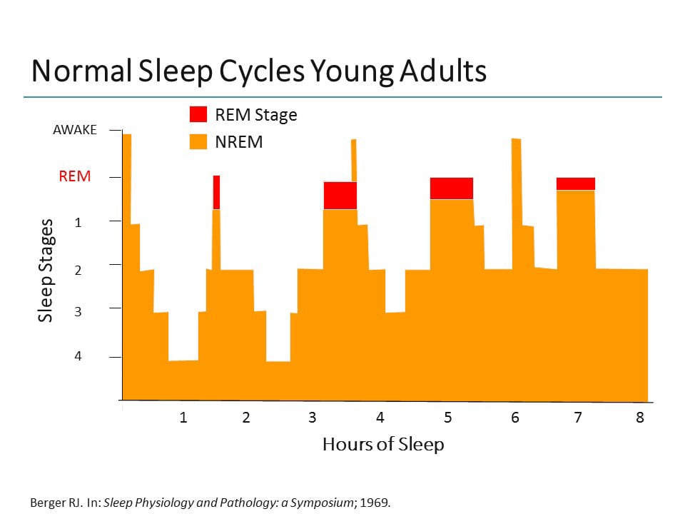 Understanding the Nature of Sleep and How it Changes With Age