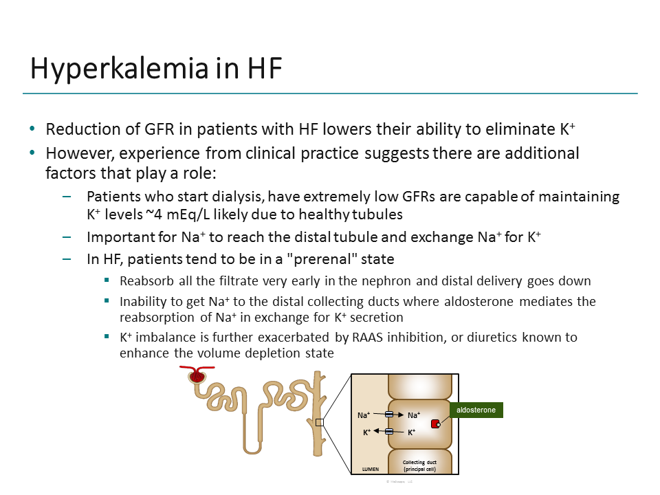 Breaking Down the Data in Hyperkalemia: Focus on Practice