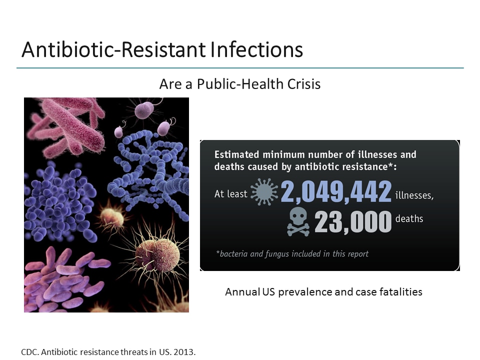 Stewardship in Focus: Taking a Closer Look at Procalcitonin-Guided ...