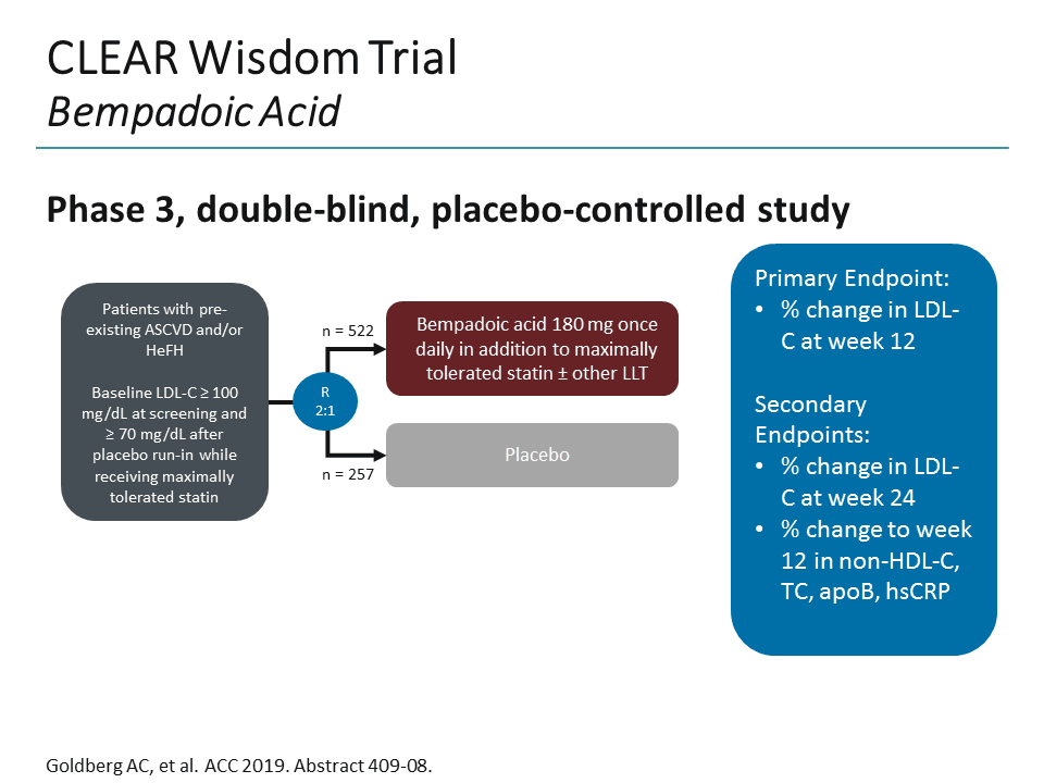Lipid Updates From Spring 2019: Implications for Clinical Care