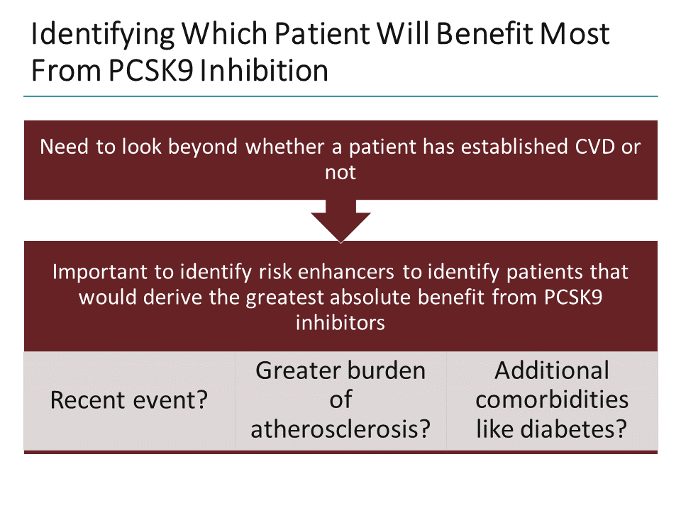 Lipid Updates From Spring 2019: Implications for Clinical Care
