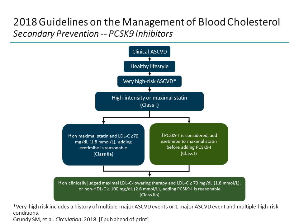 Lipid Updates From Spring 2019: Implications for Clinical Care