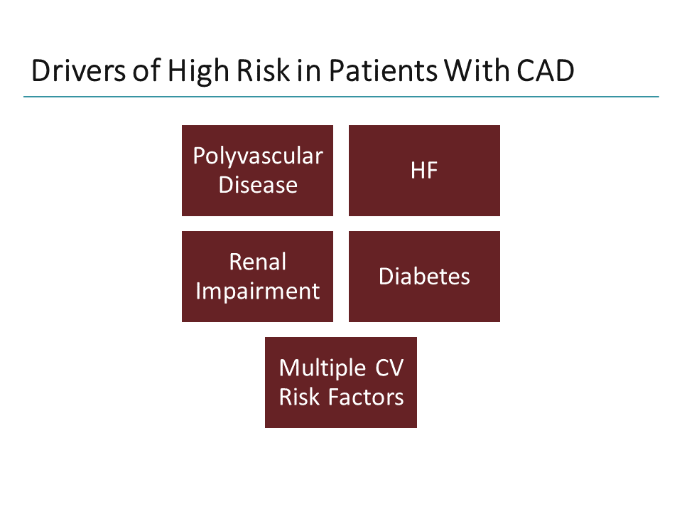 Reassessing Risk Stratification in CAD/PAD: How Do NOACs Fit In ...