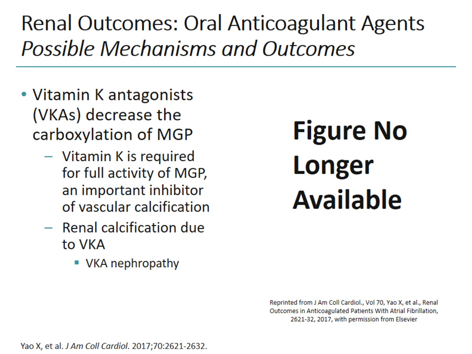 NOACs and Renal Impairment: Addressing Common Concerns
