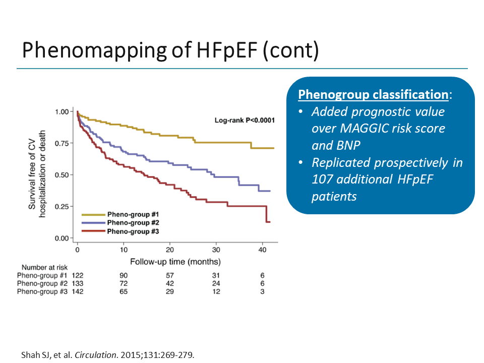 Heart Failure With Preserved EF: What Do We Mean by Patient Heterogeneity?