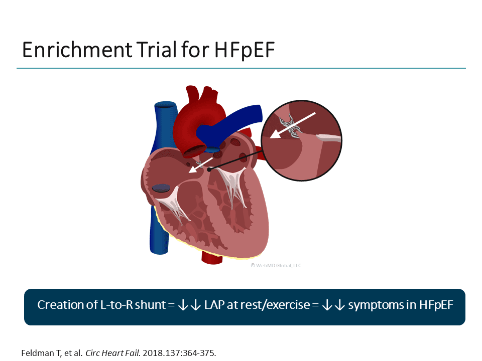 Heart Failure With Preserved EF: What Do We Mean by Patient Heterogeneity?