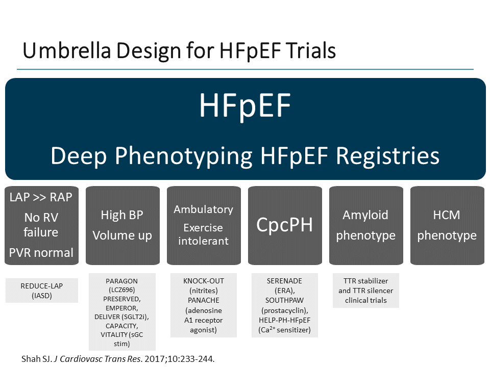 Heart Failure With Preserved EF: What Do We Mean by Patient Heterogeneity?