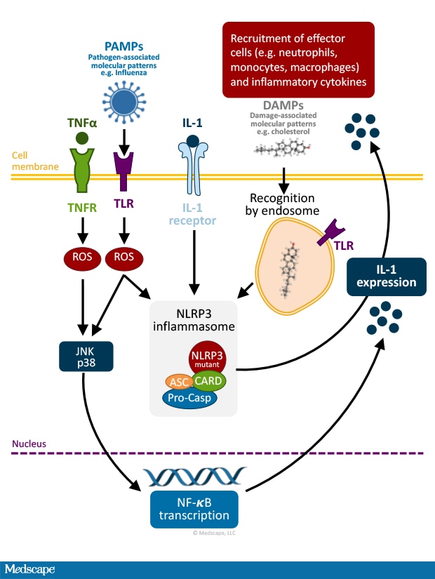 What Is New in Recurrent Pericarditis? Emerging Evidence and ...