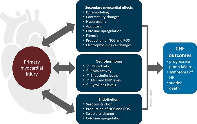 The Clinical Science of Heart Failure: Dual-Action Molecules in Perspective
