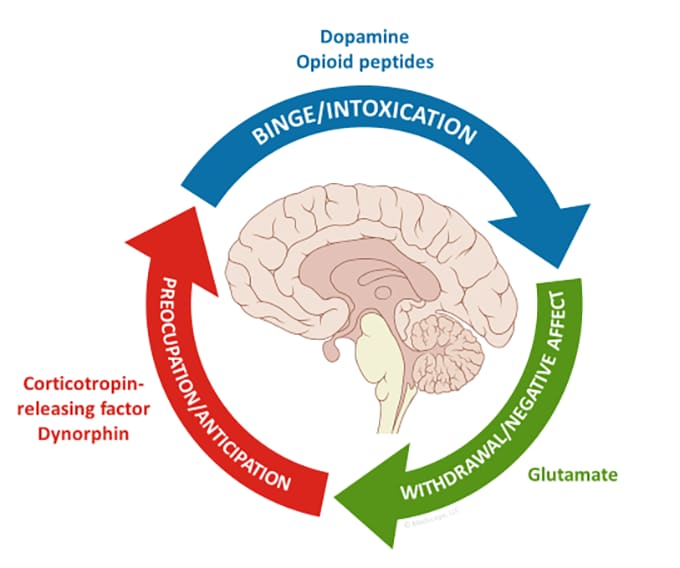 Pain Management and Opioids: Balancing Risks and Benefits