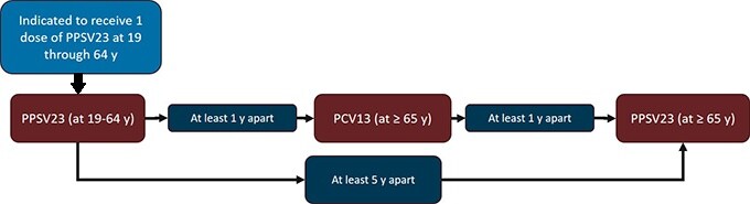 Navigating the Recommendations: Putting Pneumococcal Disease Prevention ...