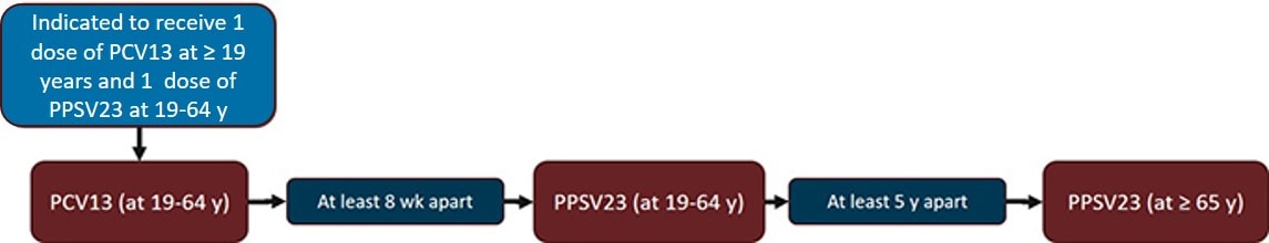 Navigating the Recommendations: Putting Pneumococcal Disease Prevention ...