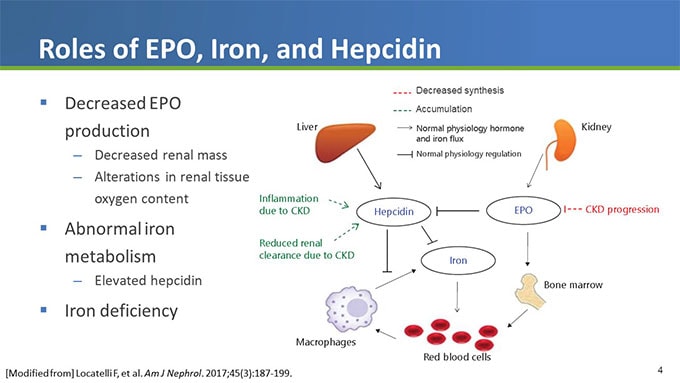 Managing Anemia in Chronic Kidney Disease: What Does the Future Hold?