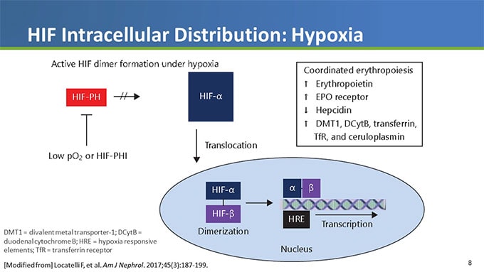Managing Anemia in Chronic Kidney Disease: What Does the Future Hold?