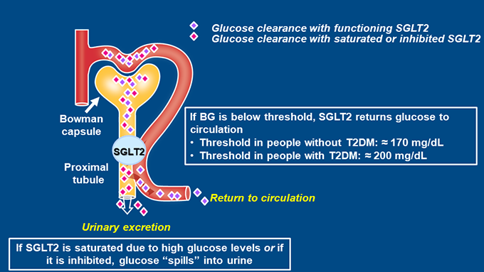 Comprehensive, Multidisciplinary T2DM Management for Reduced Risk of ...