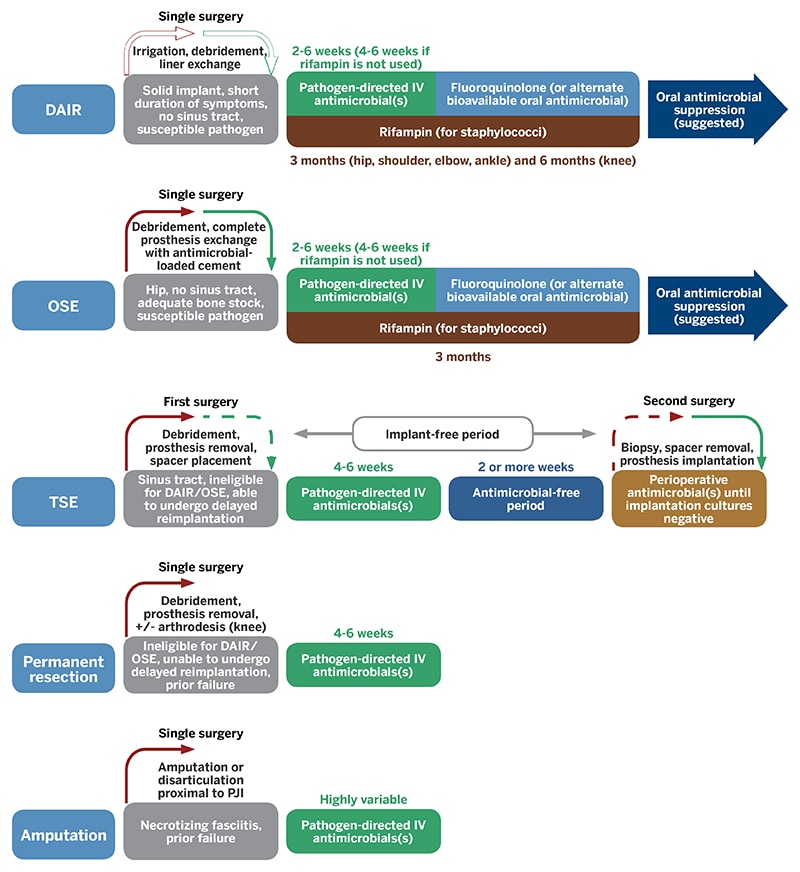 New Developments in Diagnosing and Treating Hip and Knee Periprosthetic ...