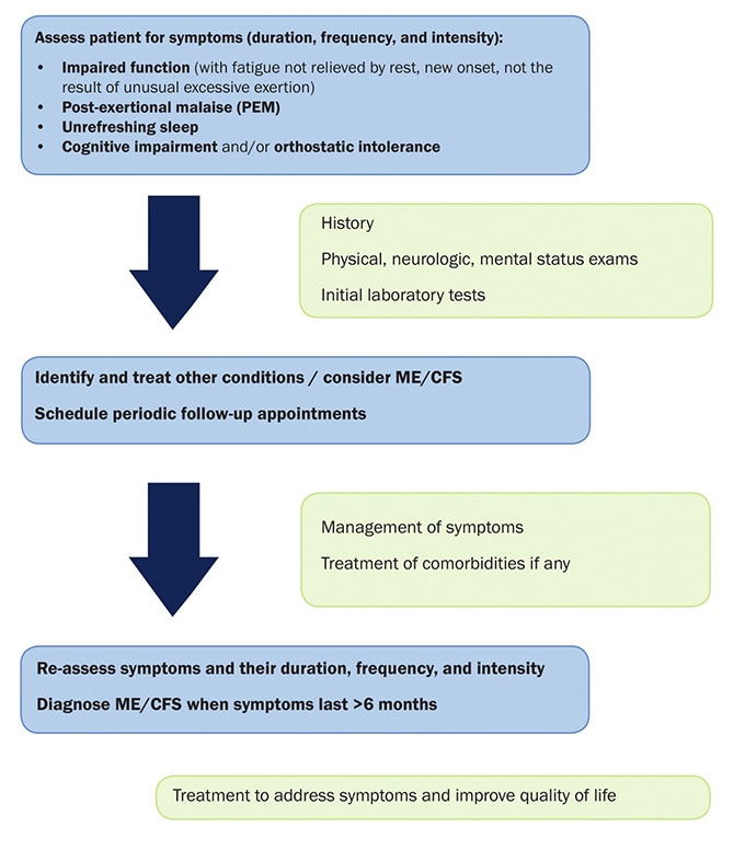 Myalgic Encephalomyelitis/Chronic Fatigue Syndrome: A Case-Based ...