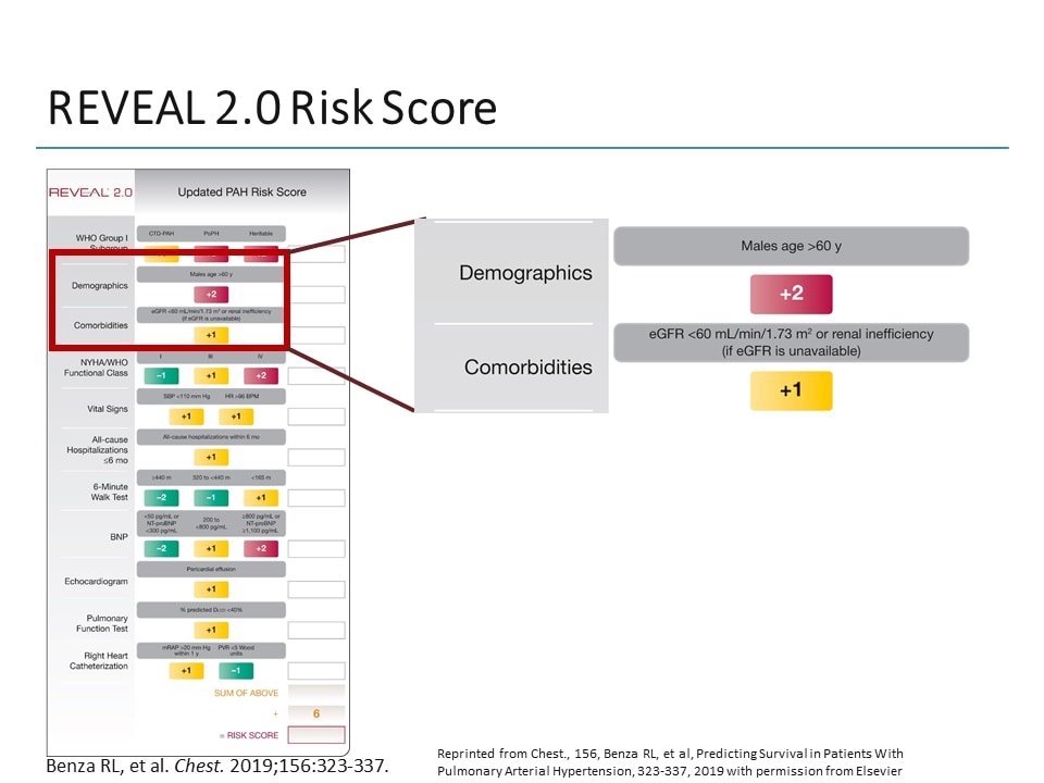 Can Prostacyclin Therapy Be Used Earlier in PAH? (Transcript)