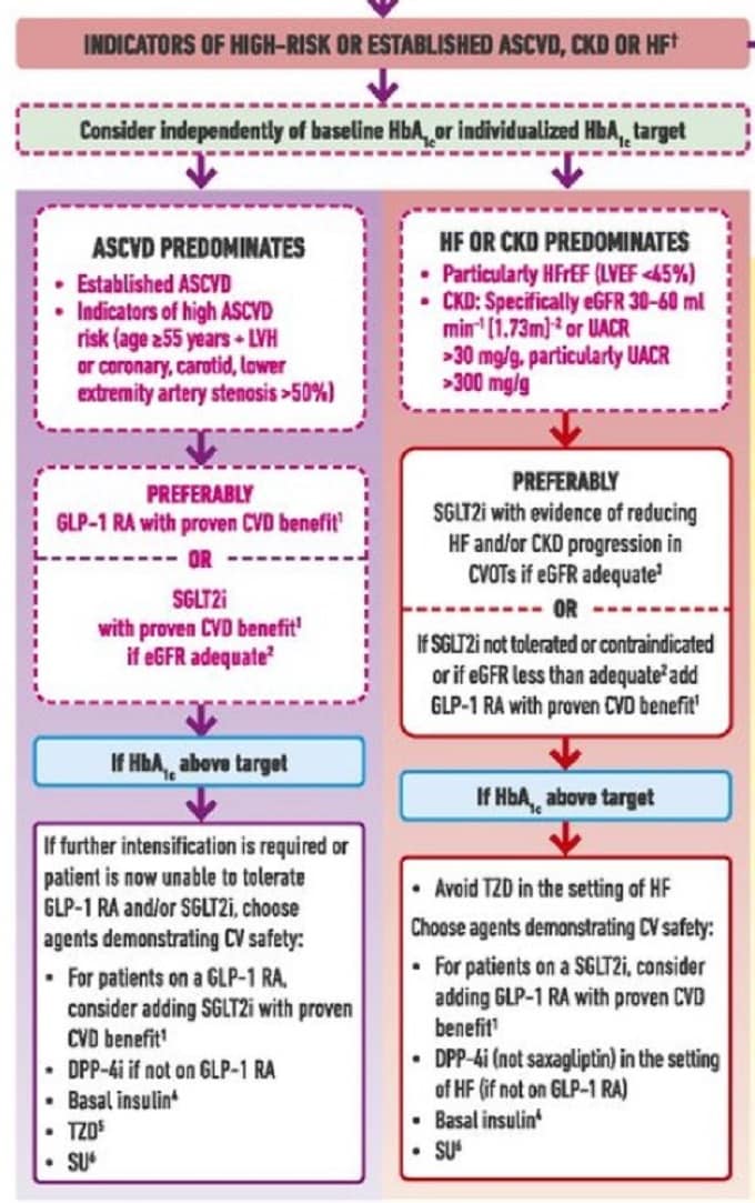 From Data Reports to Clinical Application: Improving DAPT Use for ...