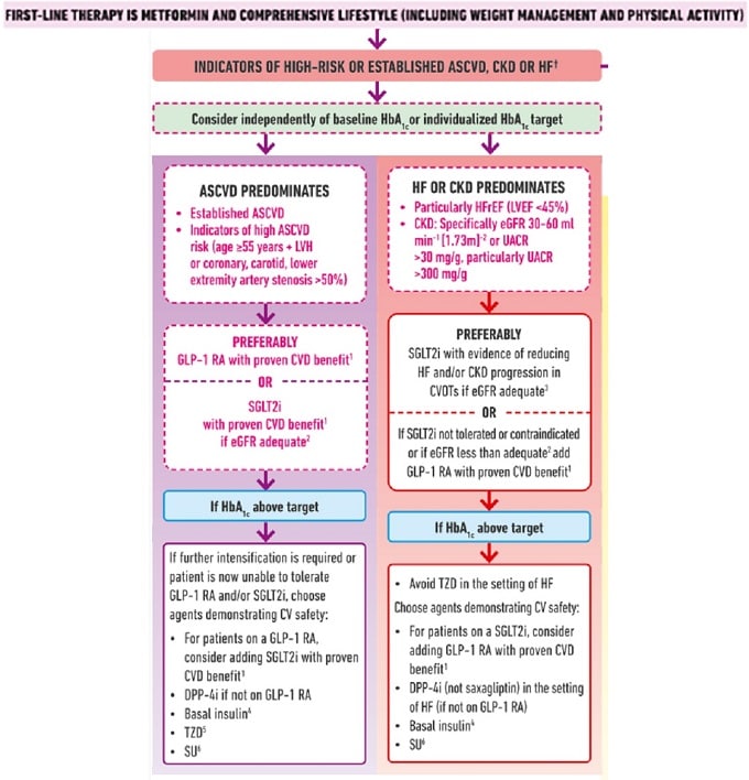 Primary and Secondary CV Prevention: The New Focus of T2D Management