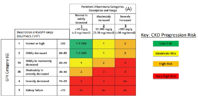 Primary and Secondary CV Prevention: The New Focus of T2D Management