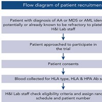 An Epitope-Based Approach of HLA-Matched Platelets for Transfusion: a ...