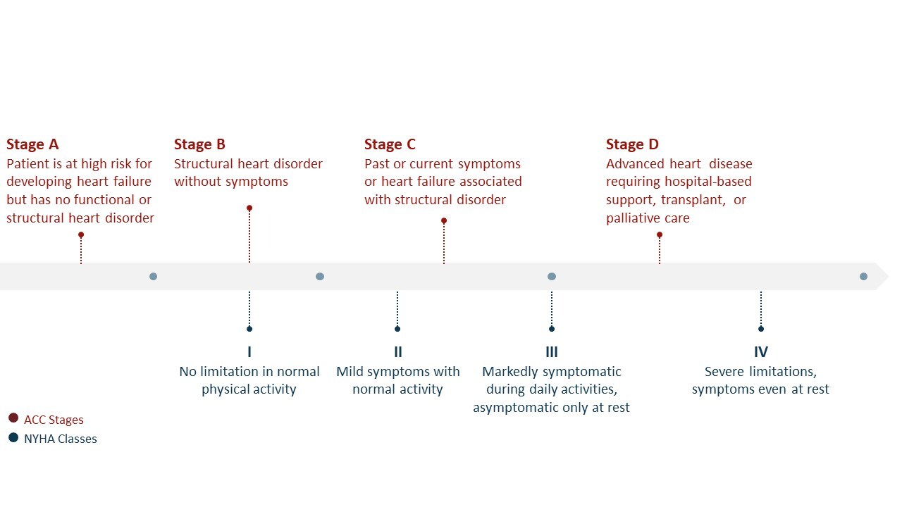 Back to Basics of HF: How to Recognize and Manage Patients With ...