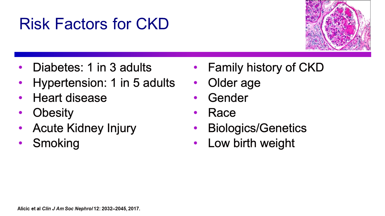 Expert Insights for Primary Care Physicians in Managing Chronic Kidney ...