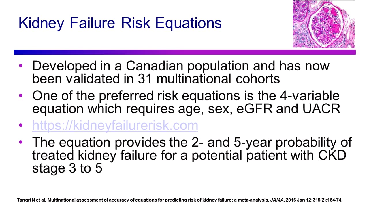 Expert Insights for Primary Care Physicians in Managing Chronic Kidney ...