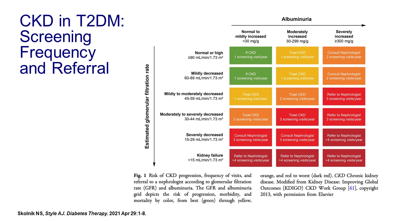 Expert Insights for Primary Care Physicians in Managing Chronic Kidney ...