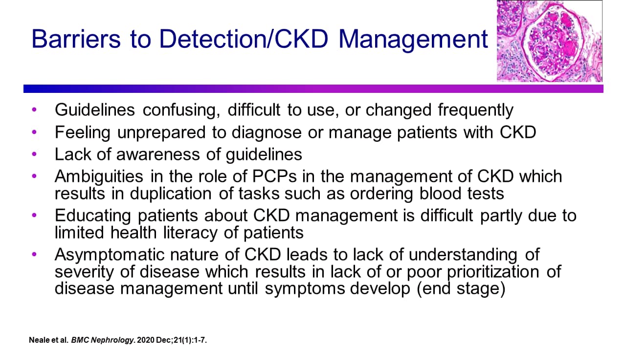 Expert Insights for Primary Care Physicians in Managing Chronic Kidney ...