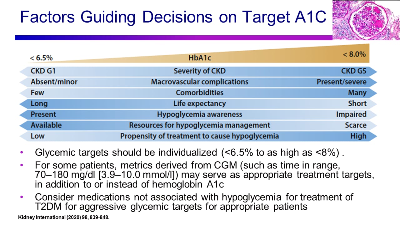 Expert Insights for Primary Care Physicians in Managing Chronic Kidney ...