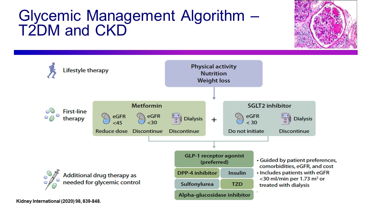 Expert Insights for Primary Care Physicians in Managing Chronic Kidney ...