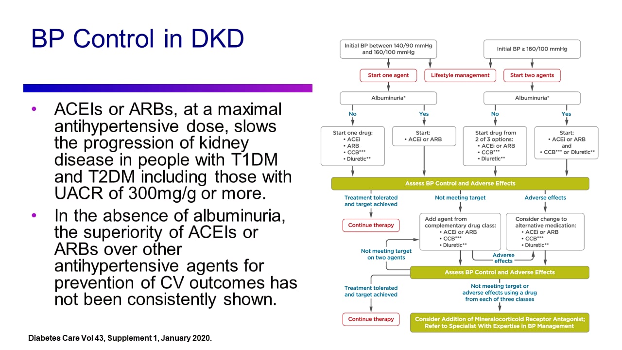 Expert Insights for Primary Care Physicians in Managing Chronic Kidney ...