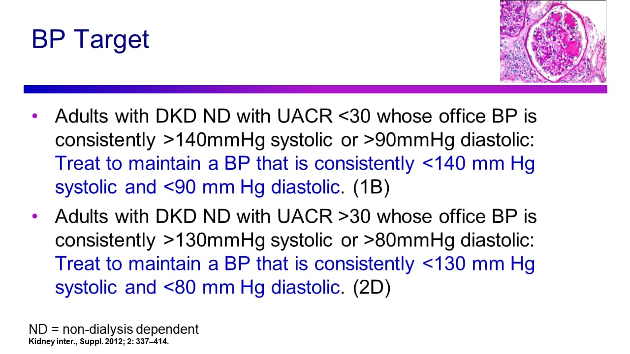 Expert Insights for Primary Care Physicians in Managing Chronic Kidney ...