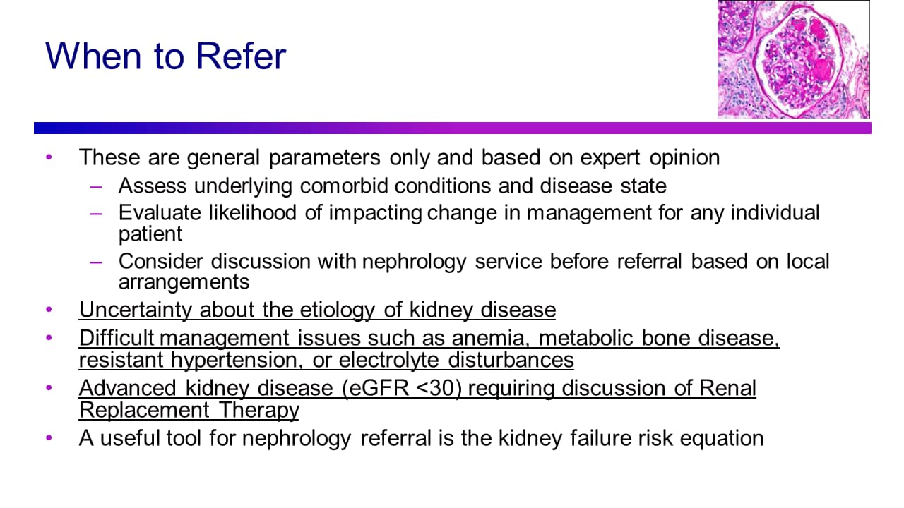 Expert Insights for Primary Care Physicians in Managing Chronic Kidney ...