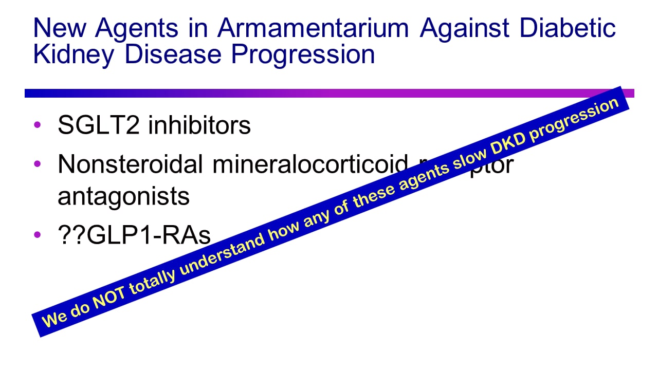 Expert Insights for Primary Care Physicians in Managing Chronic Kidney ...