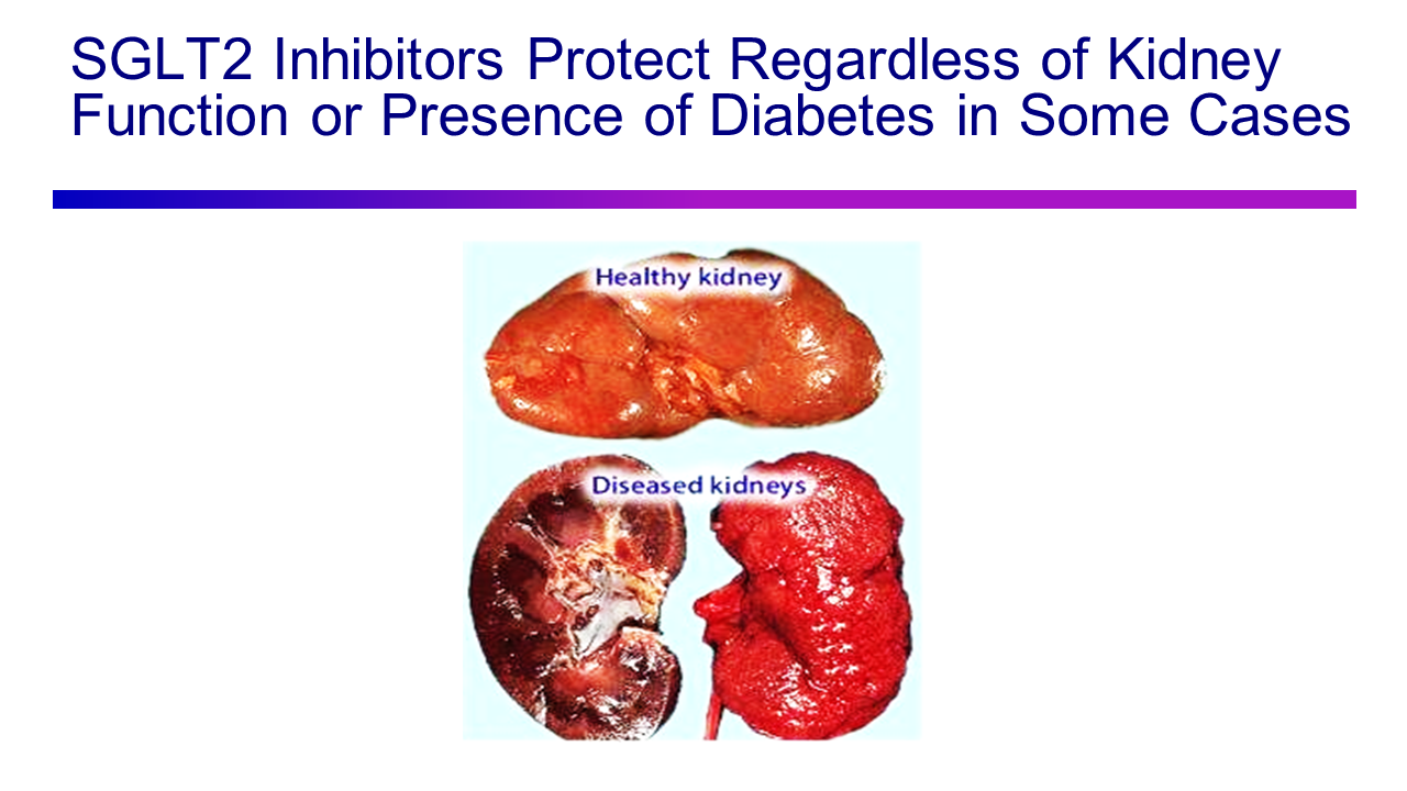 Expert Insights for Primary Care Physicians in Managing Chronic Kidney ...