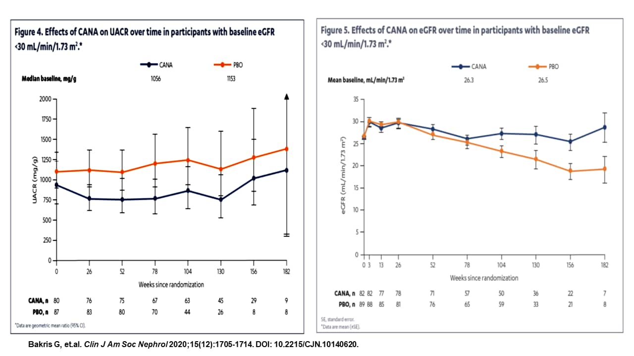 Expert Insights for Primary Care Physicians in Managing Chronic Kidney ...