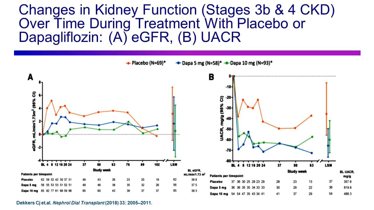 Expert Insights for Primary Care Physicians in Managing Chronic Kidney ...