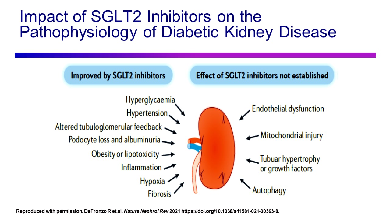 Expert Insights for Primary Care Physicians in Managing Chronic Kidney ...