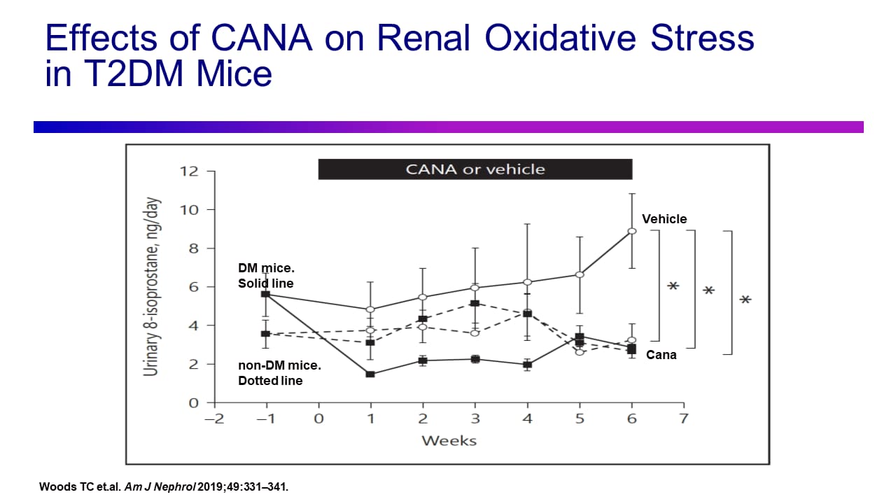 Expert Insights for Primary Care Physicians in Managing Chronic Kidney ...