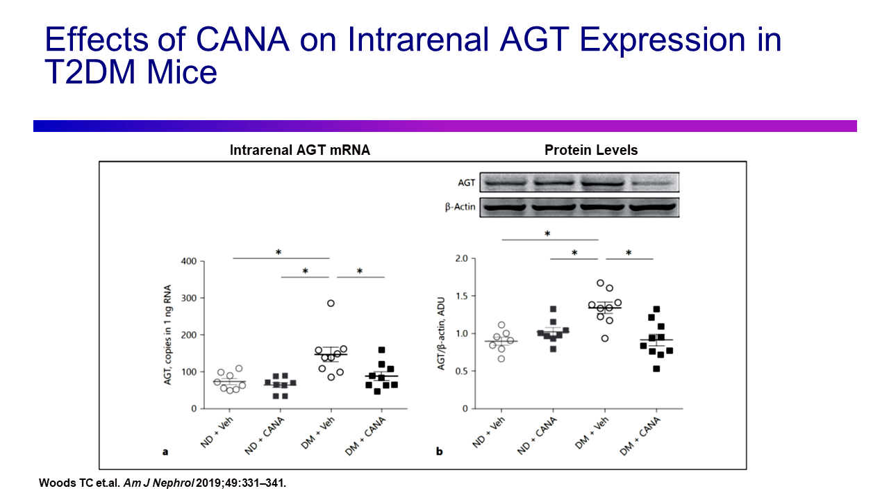Expert Insights for Primary Care Physicians in Managing Chronic Kidney ...