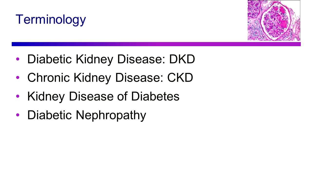 Expert Insights for Primary Care Physicians in Managing Chronic Kidney ...