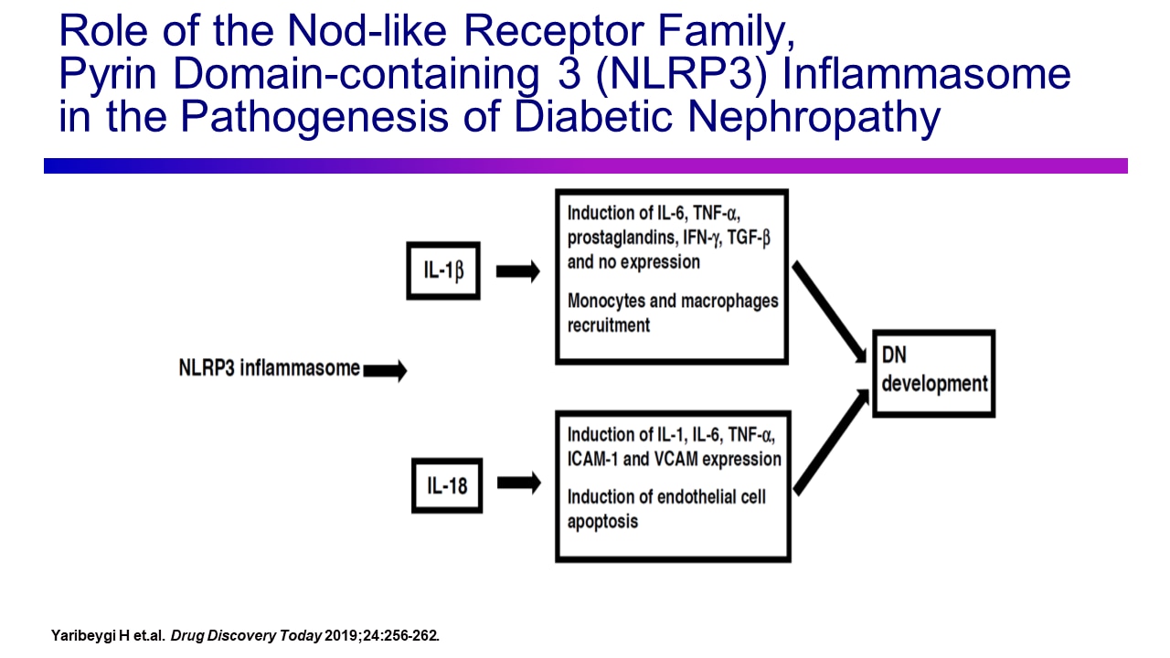 Expert Insights for Primary Care Physicians in Managing Chronic Kidney ...